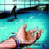 Chandigarh News, Latest Chandigarh News Headlines & Live Updates ...