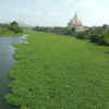 Pune News, Latest Pune News Headlines & Live Updates - Times of India