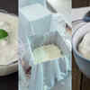 Curd vs hung curd vs Greek yogurt: What is the difference and which has ...