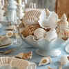 From wall art to centerpieces: 8 shell decor ideas for a coastal vibe