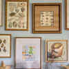 From wall art to centrepieces: 8 shell decor ideas for a coastal vibe