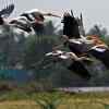 Trichy News: Breaking Headlines, Live Updates & Latest Stories | Times ...
