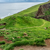 This small island in Europe has more puffins than humans and feels ...