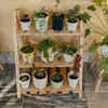 Gardening ideas for small balconies: 5 Smart ways to create a green ...