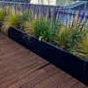 Gardening ideas for small balconies: 5 Smart ways to create a green ...