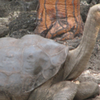 Science News: Fresh Discoveries, Research & Breakthroughs