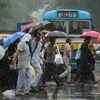 Bihar News: Latest Bihar News, Bihar Breaking News, Bihar Today News ...