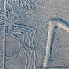 Science News: Fresh Discoveries, Research & Breakthroughs