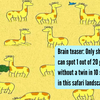 Brain teaser: Only sharp eyes can spot 1 out of 20 giraffes without a ...