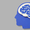 “We only use 10% of our brains”: How one of the most famous ‘health ...