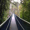TreeTop Walk at MacRitchie Reservoir - Singapore: Get the Detail of ...