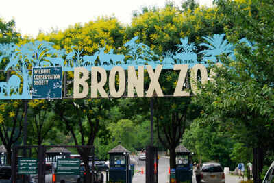 Bronx Zoo Sign