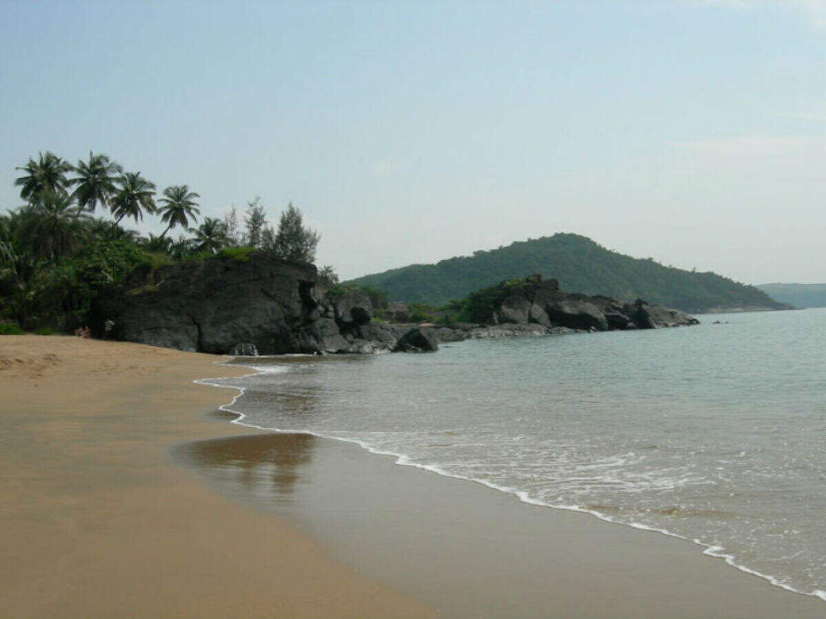 Half Moon Beach Half Moon Bay Beach, Jamaica Beach Guide | NEPA