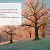 7 Profound quotes from Four Quartets by T.S Eliot