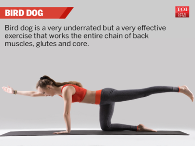 Bird Dog Pose