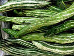 25 common Indian vegetables and their English names