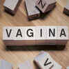 How deep is a vagina? Doctors tell us!