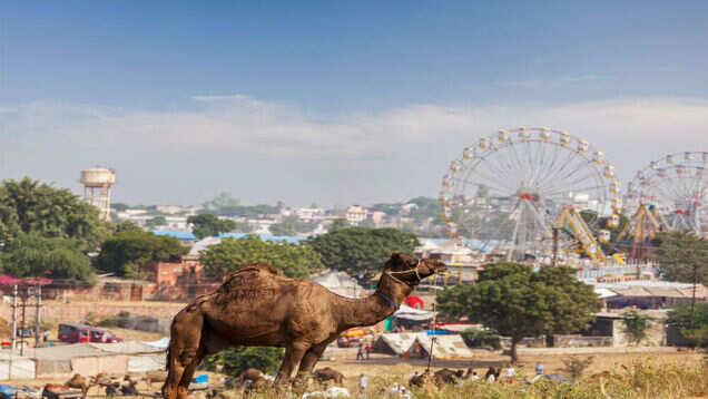 Pushkar Mela 2019: a gorgeous mix of colours and culture, Pushkar ...