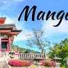 Did you know these English words were originally Japanese?