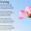 Rabindranath Tagore Poems: 10 timeless poems by Rabindranath Tagore