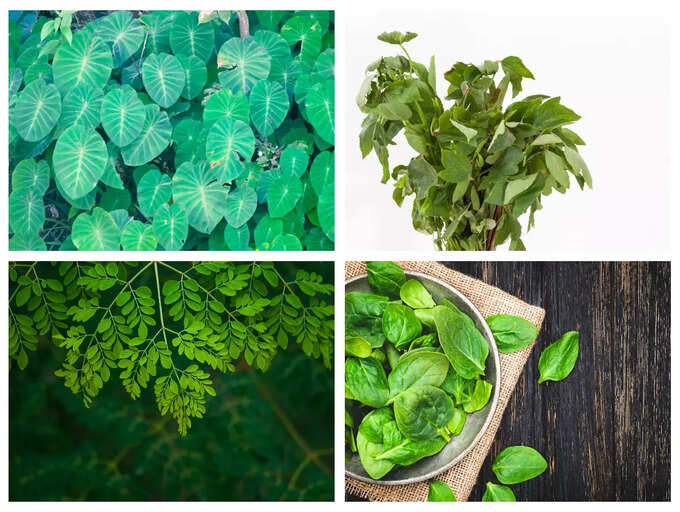 Types Of Indian Saag And Health Benefits: 9 saag varieties from across ...