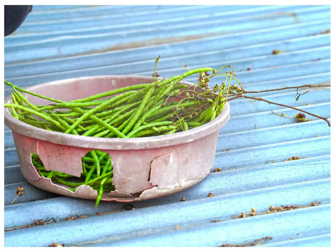 Sangri: What is Sangri and why you should add it to your daily diet