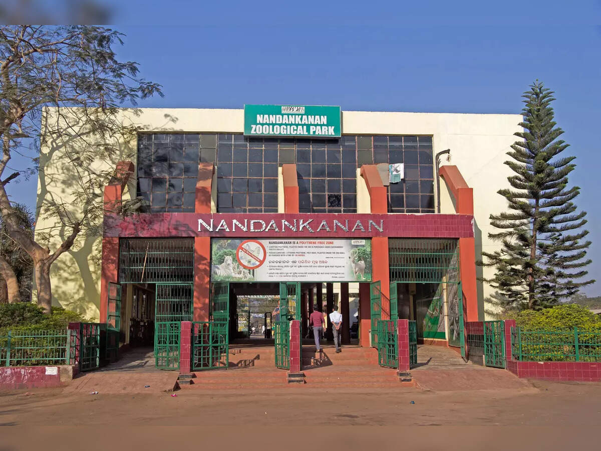 Parque Nacional Nandankanan Nandan Roy (@nandan__fitness) On Threads