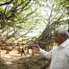 Photos: This 500-year-old tree to be developed as tourist spot in Gujarat