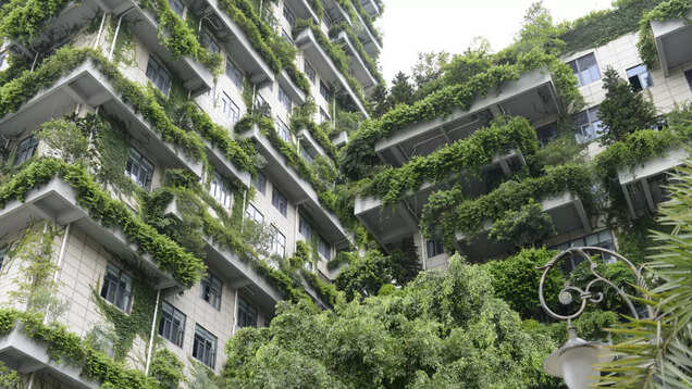 Can cities tackle climate change related heatwaves? Paris has a plan ...