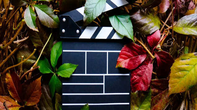 All about ALT EFF, India’s one and only environmental film festival ...