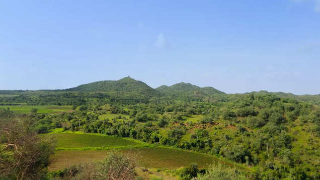 Sassan Gir, the village of free roaming lions, Junagadh - TimesTravel