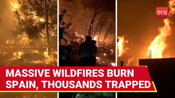 Panic in Chinese Camp: Wildfire Ravages Gold Rush-Era Town, Evacuees ...