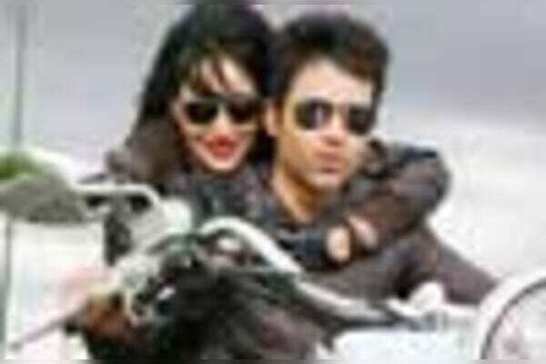 Crook Movie Review {3/5}: Critic Review of Crook by Times of India