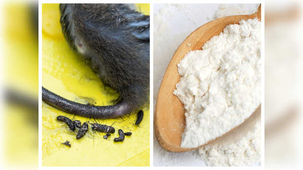 Food Facts: Scary food facts from FDA that will leave you shocked