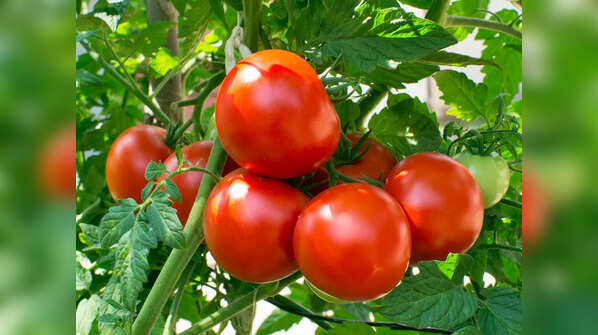 7 foods that resemble the body parts they benefit the most