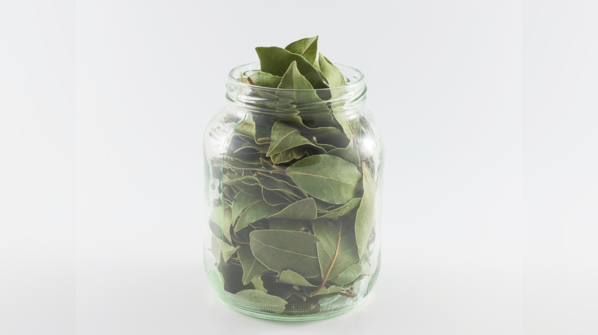 How to use Bay leaf and Cinnamon for manifestation rituals