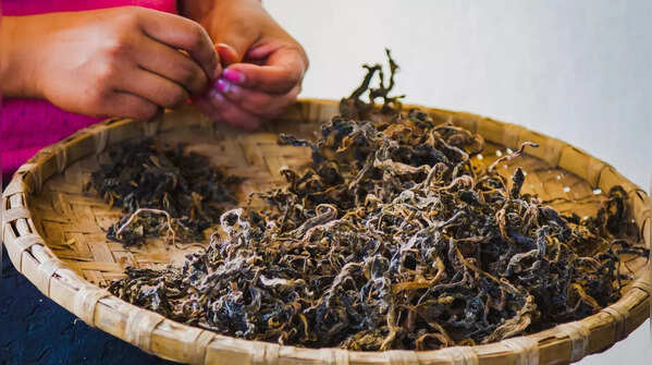 8 traditional Indian probiotic foods that can help improve gut health in monsoon