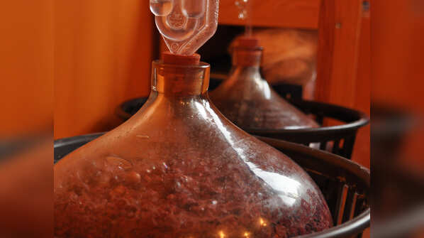 What are wine yeasts and how they impact the flavour