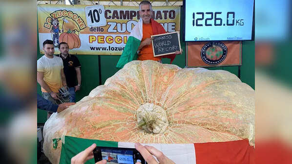 7 biggest foods in the world that hold a Guinness World Record