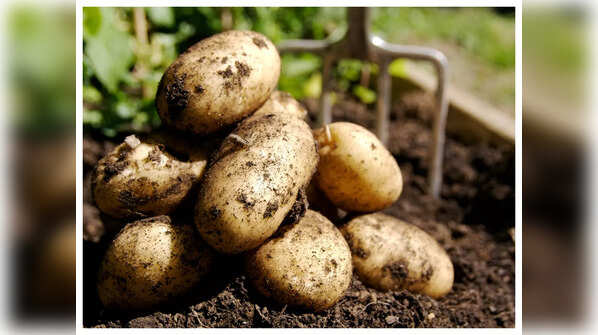 5 daily foods that are toxic and can be fatal