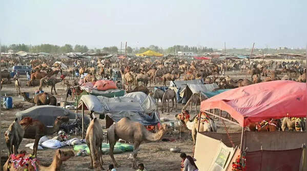 Top 10 least livable cities of 2024