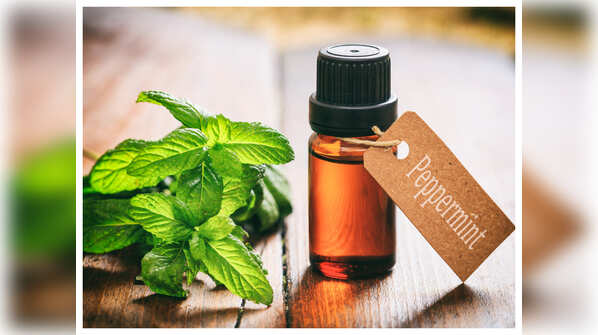 Do you know the difference between peppermint and spearmint?