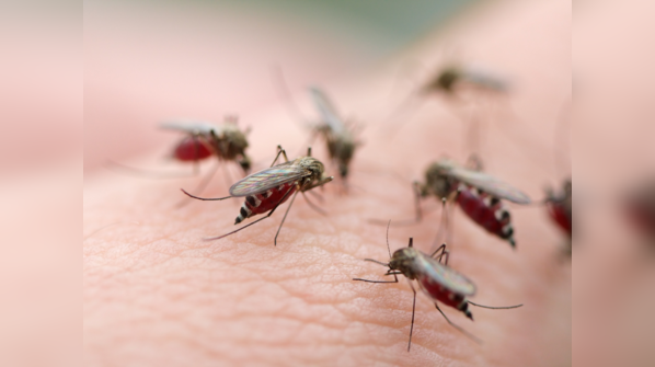 Malaria: Deadly long term effects of malaria you should know about