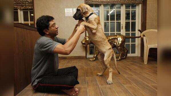 Raj Thackeray dog James passes away; MNS chief bids teary goodbye