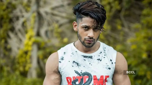 Bigg Boss 19: From being a part of reality shows to his net worth; all ...