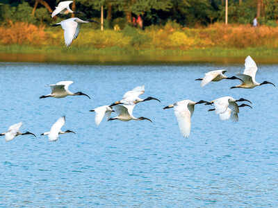 Story behind the photo: Flight back home