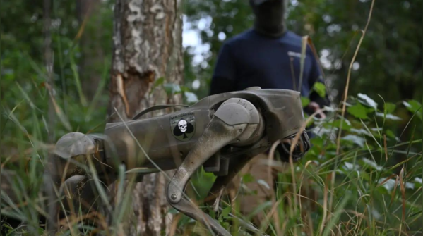 Next-gen war robots: Ukraine set to deploy 'BAD One' dogs for recon ...