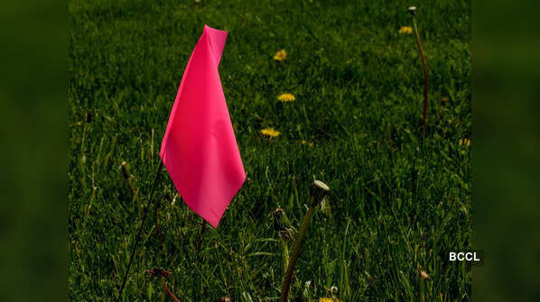 Here are all the relationship flags you must know about