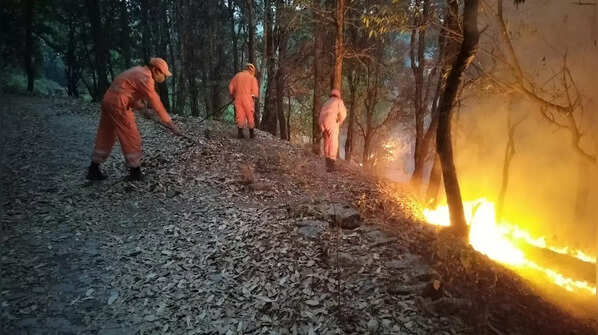 Nainital wildfires: Photos of devastating Uttarakhand forest fires; no ...