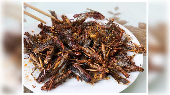 10 Insects that are popular delicacies around the world